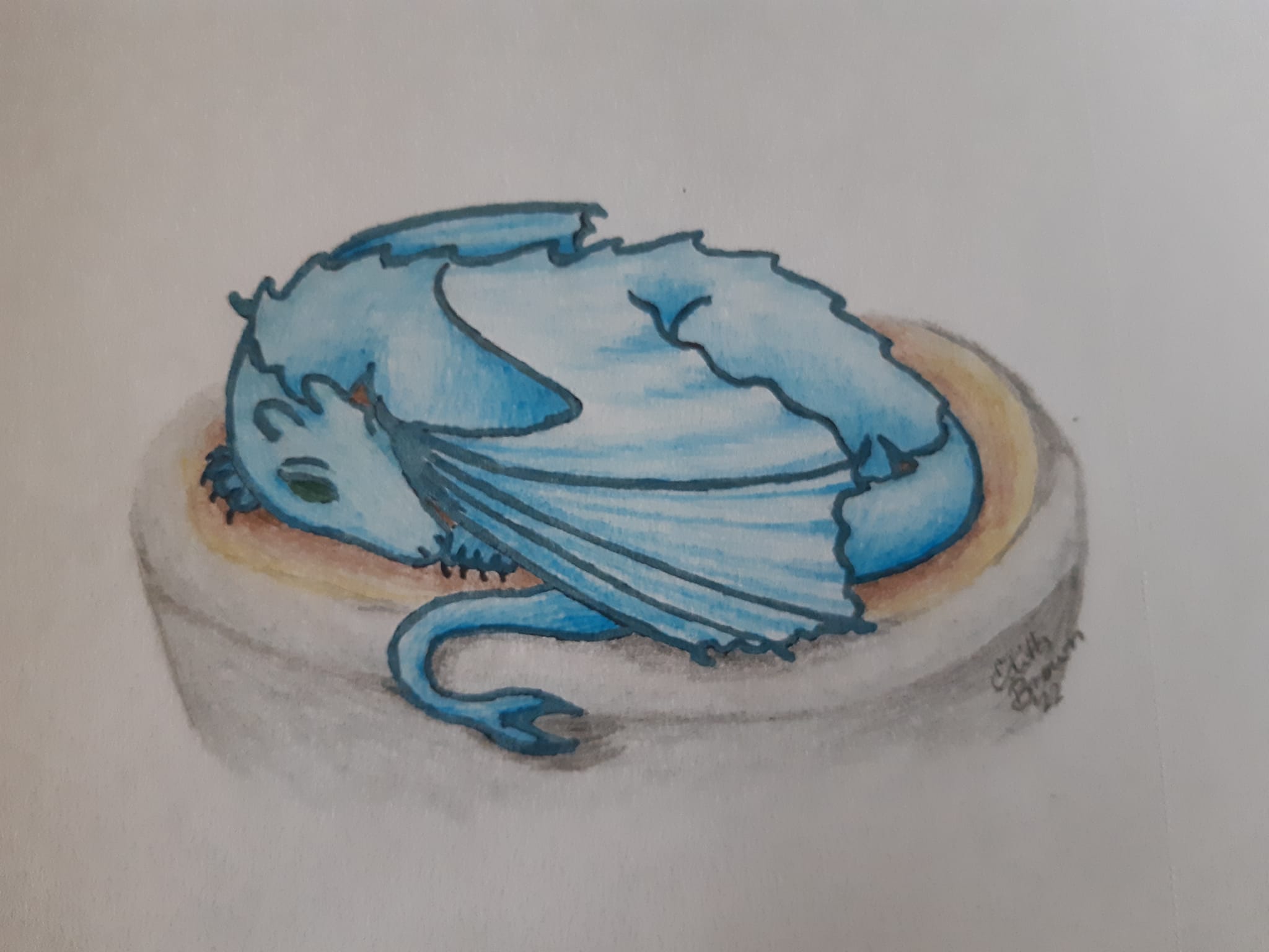 Sleepy Blue | Dragonchoice